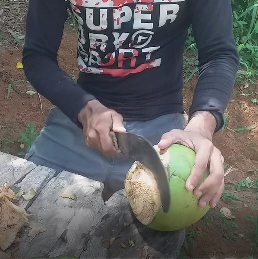 ⚡ Super Speed Coconut Cracking Challenge – Island Style! Discover the fastest way to open a coconut using pure traditional skill! 🥥💪 This amazing coconut cracking technique is from tropical island life — no machines, no fancy tools, just skill and speed! 🌴 Watch till the end to see how fast the coconut opens 😲🔥 #Coconut #IslandLife #OrganicLiving #TropicalSkills #naturelovers coconut cutting skill, open coconut fast, coconut cracking, island style coconut cutting, tropical skills, sri lanka