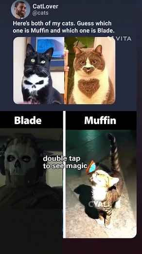 support me guys #memes #shorts