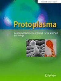 Isolation and characterisation of the trichocysts of the dinophyte Prorocentrum micans - Protoplasma