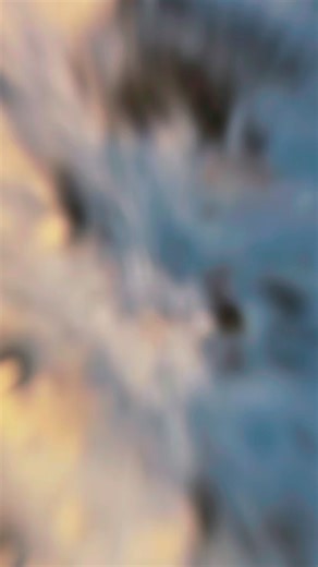 NEW Ariat at Jack's ~ Futurity Outlaw Quill Ostrich Cowboy Boot 🤠 JacksWestern.com 🤠 With bold pull holes, eye-catching underlays, and a full-quill ostrich foot, the Futurity Outlaw is tricked out from top to toe. Not just a looker, it's also built to compete, boasting an extra layer of heel-to-toe cushioning and our water-resistant leather sole. #JacksWestern #Huntsville #westernlifestyle #ariat #westernwear #shopping #birmingham #western #cowboy #boots #alabama #cullmanalabama #fyp #exotic |