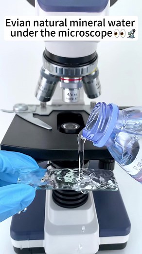 Discover the Fascinating World of Purified Water Under a Microscope