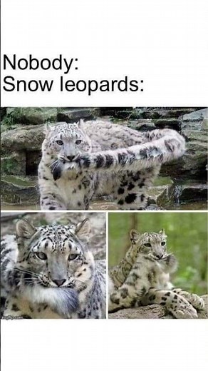 Wholesome Memes To Brighten Your Day | Funny Memes Compilation | Memes | #shorts 5