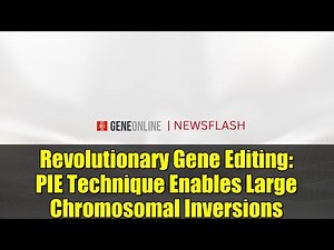 Revolutionary Gene Editing: PIE Technique Enables Large Chromosomal Inversions
