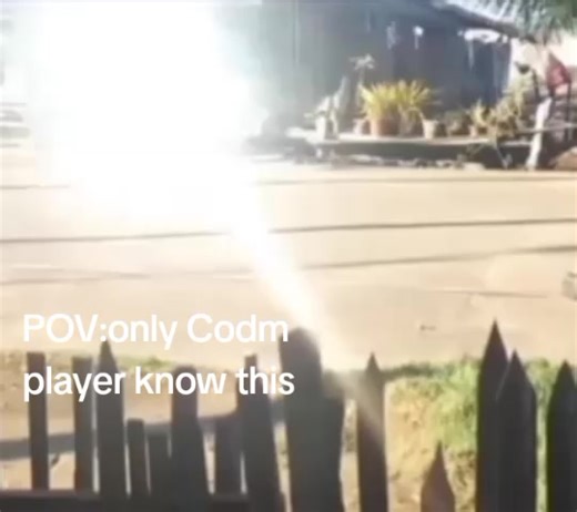 Understanding CODM Players: A Shared Experience