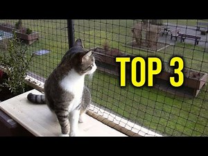 TOP 3 : Meilleur Filet de Protection pour Chat : Balcon et Fenêtre 2021