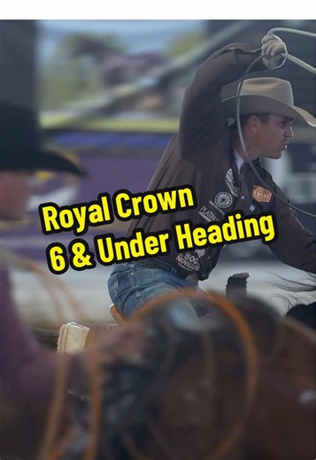 𝓡𝓸𝔂𝓪𝓵 𝓒𝓻𝓸𝔀𝓷 | 6 & Under Heading | Buckeye 2026 🌵 Average Winner 👑 RHEN RICHARD Horse: LITTLE FOOSE SUG, 2021 Mare Total Score: 592.67 Rider: RHEN RICHARD Sired by: TRAVS LITTLE SUG Out of: RUNAWAY FOOSE Owned by: A & C Racing and Roping Bred by: A & C Racing and Roping Live Feed: xftr.net/rcb26 Free Videos: XFRundelivery.com (brought to you by: South Valley Equine) MVP | 𝘾𝙊𝙑𝙀𝙍𝙀𝘿 𝘽𝙔 𝘾𝙊𝙍𝙄 𝙀𝙌𝙐𝙄𝙉𝙀 𝙄𝙉𝙎𝙐𝙍𝘼𝙉𝘾𝙀 | Werner Equine Co. | Southwest Fence and Supply | 10