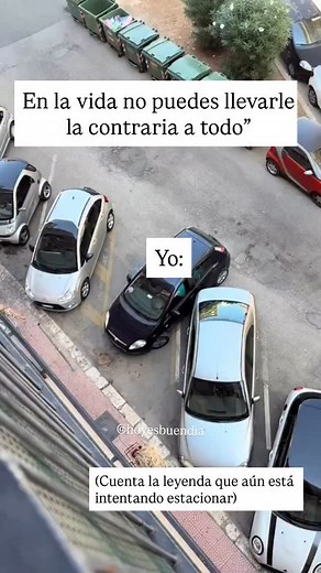 Yo, experto en el arte de la contradicción, he perfeccionado mi técnica a un nivel que rozan lo sublime. Es una habilidad innata, casi un superpoder. Cuando alguien dice que el cielo es azul, mi primer impulso es buscar pruebas de que es, de hecho, verde. Cuando me preguntan si estoy de acuerdo, respondo con una carcajada y un “claro, si eso fuera cierto”. No es que sea un fastidio, es que soy un pensador crítico, un revolucionario de la lógica, un contrapunto viviente. No busco pelear, solo la 