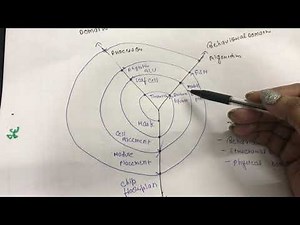 IC design ! y chart in detailed in Vlsi
