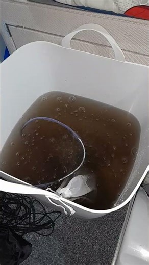 MAKING ORGANIC TEA FROM WORM CASTINGS #shortvideo #grow