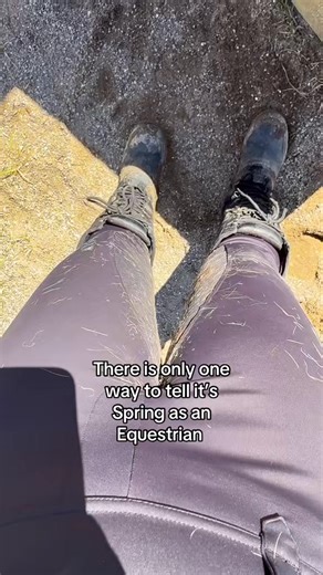 How To Tell It’s Spring With Horses… | Free Spirit Equestrian