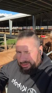 Cheers to even better live videos now | TDF Honest Farming