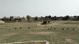 1.1K views · 26 reactions | Christopher Charles Benninger on Reels | Facebook