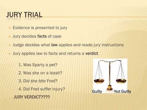 Steps in the Court Process Example