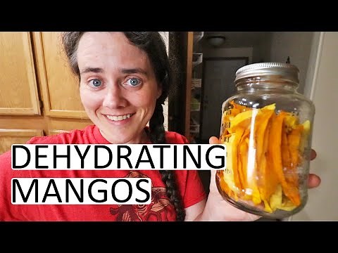 How To Dehydrate Mangos - One Of The TASTIEST Dried Fruits | Fermented Homestead