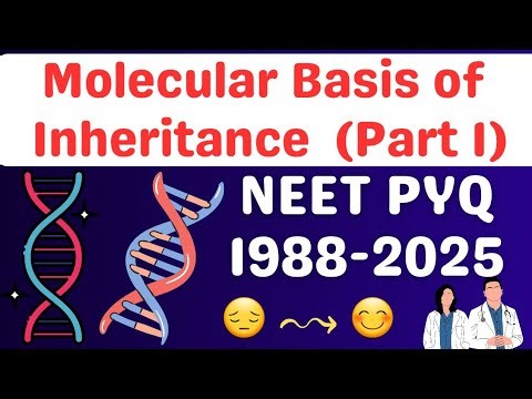 Molecular basis of inheritance class 12 one shot neet pyq part 1
