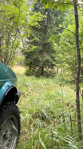 #golfcountry #scrapefarm #golf2 #mk2squad #mk2golf #90s #syncro source: https://vm.tiktok.com/ZNdpe6qKW/ | MK2 SQUAD