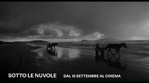 01Distribution on Reels