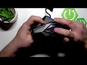 ASUS ROG Spatha X – How to Change Color Cycle