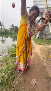 Village woman catch snake fish in big pond 🎣🐍 #bass #fish #viral #snake | lady hook fishing