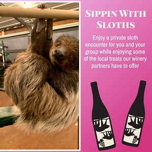 94 reactions · 106 shares | Tired of the typical Wine Tasting events?...