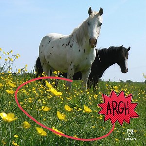 2.8K views · 37 reactions | With spring in “full spring,” we’re about...