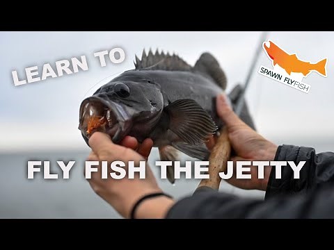 HOW TO: FLY FISH THE JETTY