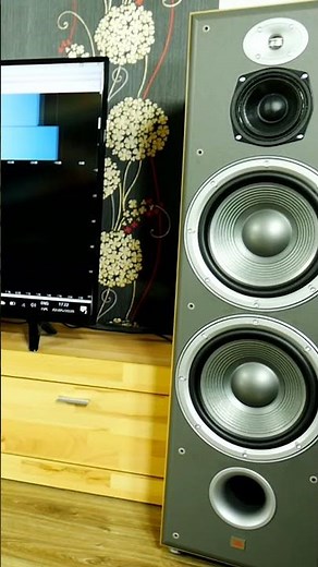 JBL E100 upgraded speakers