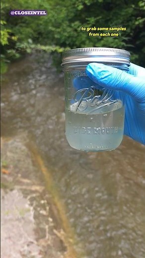 Comparing Stagnant Water vs Running Water Under A Microscope