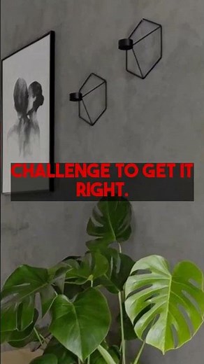 Mastering Indoor Majesty Palm Care