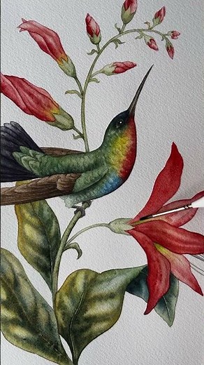 Watercolor hummingbird and flower🌸 #shorts