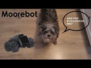 🤖 "Scout by Moorebot: Your Smart AI Companion Unveiled | In-Depth Review and Demo!" 🌐🚀