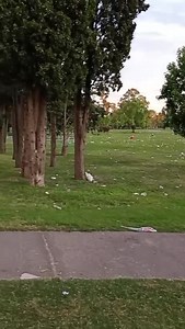 102K views · 533 reactions | Así quedó el Parque Helios Eseverri luego de los festejos por el 158º Aniversario de Olavarría | Radio Olavarría | Facebook