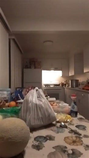 WHAT DID I DO! #memes #funny #comedy