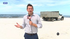 Scientists fear spread of red tide on Florida's beaches