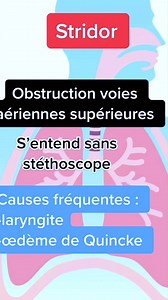 183K views · 2.6K reactions | Découvrez les différents types de bruits entendus à l’auscultation des poumons et leur signification clinique. Apprenez comment ces sons peuvent aider au diagnostic des pathologies respiratoires. Une ressource essentielle pour les professionnels de santé et les patients curieux. 喙 | Dr Jammy | Facebook