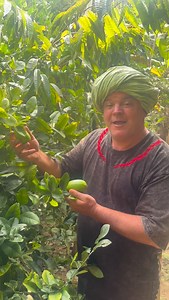 Type “Soil” in the comments to get my e-book. 🌱Start planting, not scrolling! #krishnamckenzie #solitudefarm #permaculture #foodforest #organicfarming | Krishna Mckenzie