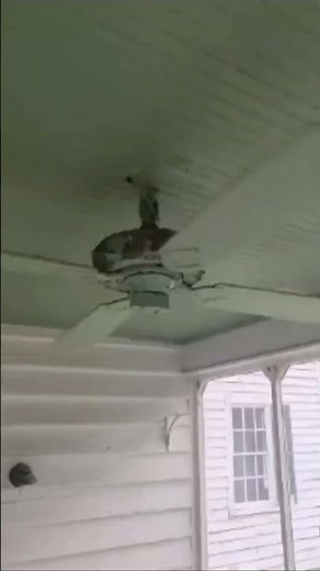 Antique Westinghouse Ceiling Fan