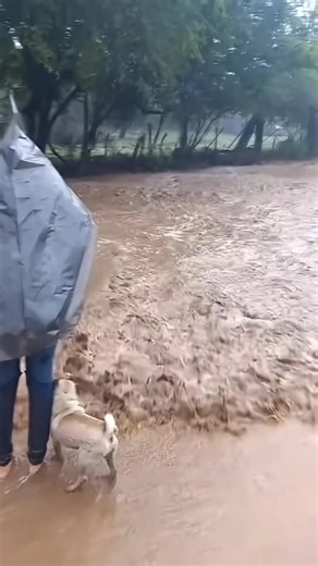 Understanding Flash Floods: Causes and Prevention