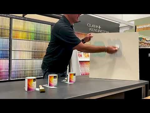 How To Use A Color Sample - Ace Hardware