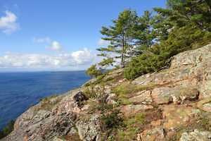 Emerging Leader Program