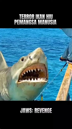 Exploring Film Plot Development: Part 2