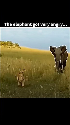 The most heartbreaking story in animal history 😭😢 #midjourney #viral #viralvideo #youtubeshorts