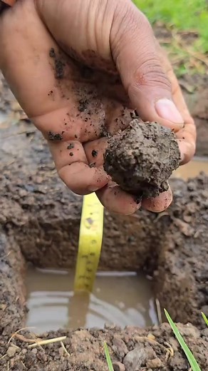 Learn how to measure soil infiltration properly and optimize your irrigation. #SoilInfiltration #AgricultureTips #IrrigationDesign #SoilScience #FarmKnowledge | MY OWN Garden