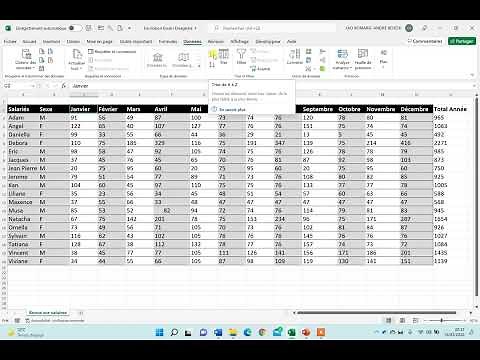 Cours Excel N°8 : Trier et Filtrer des données sur Excel