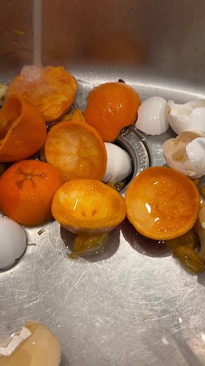 Effective Cleaning Tips for Your Garbage Disposal