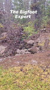 The Bigfoot Expert takes you to high danger area secret location "Squatch Holes". Recently discovered. 100's of caves and tunnels system deep in the Cascade Mountain Range. Fearless Bigfoot Hunter #Fearless #sasquatch #Washington #Alaska #canada #documentary #hunting #bigfoot #discovery #Dangerous | The Bigfoot Expert