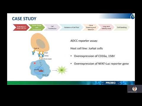 Development of cell-based functional assay with high efficiency