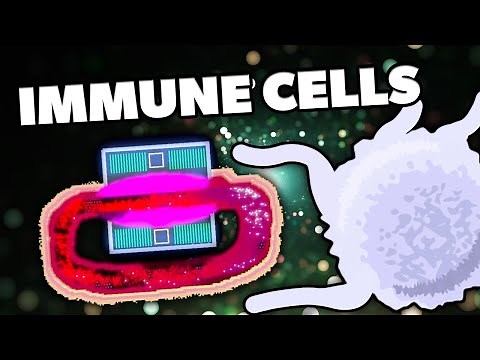 IMMUNE SYSTEMS in The Powder Toy! [DL in Desc!]
