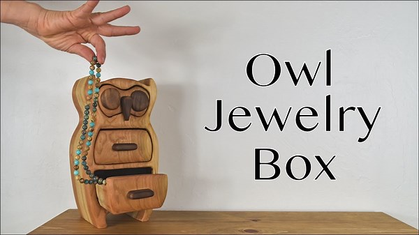 I built an owl jewelry box!