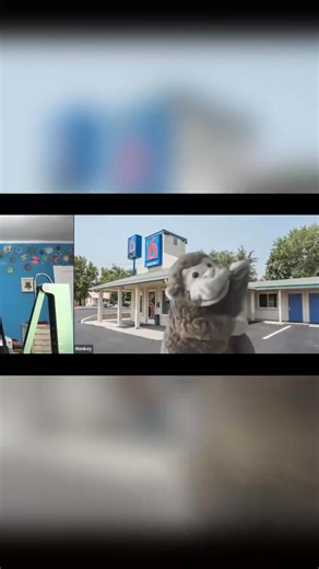 Join Kathleen Sheridan and friends (including Monkey!) for a...